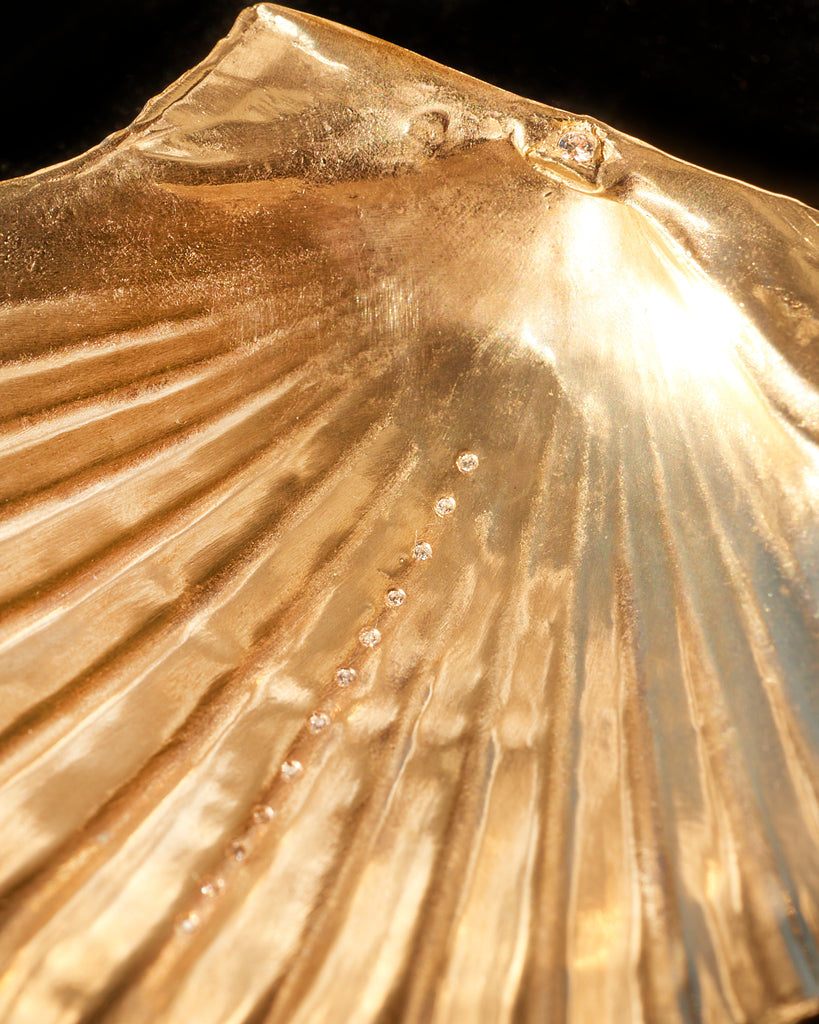 Louse Point Scallop Diamond Shell – Wendy Nichol